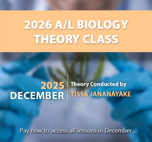 Sipsuru: 2026 Theory